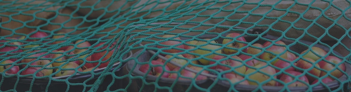 How to Tie a Cargo Net Onto Your Truck Bed | Get Helpful Tips for Tying ...