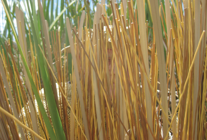 Cut to order Camo Netting, Camouflage Netting | US Netting